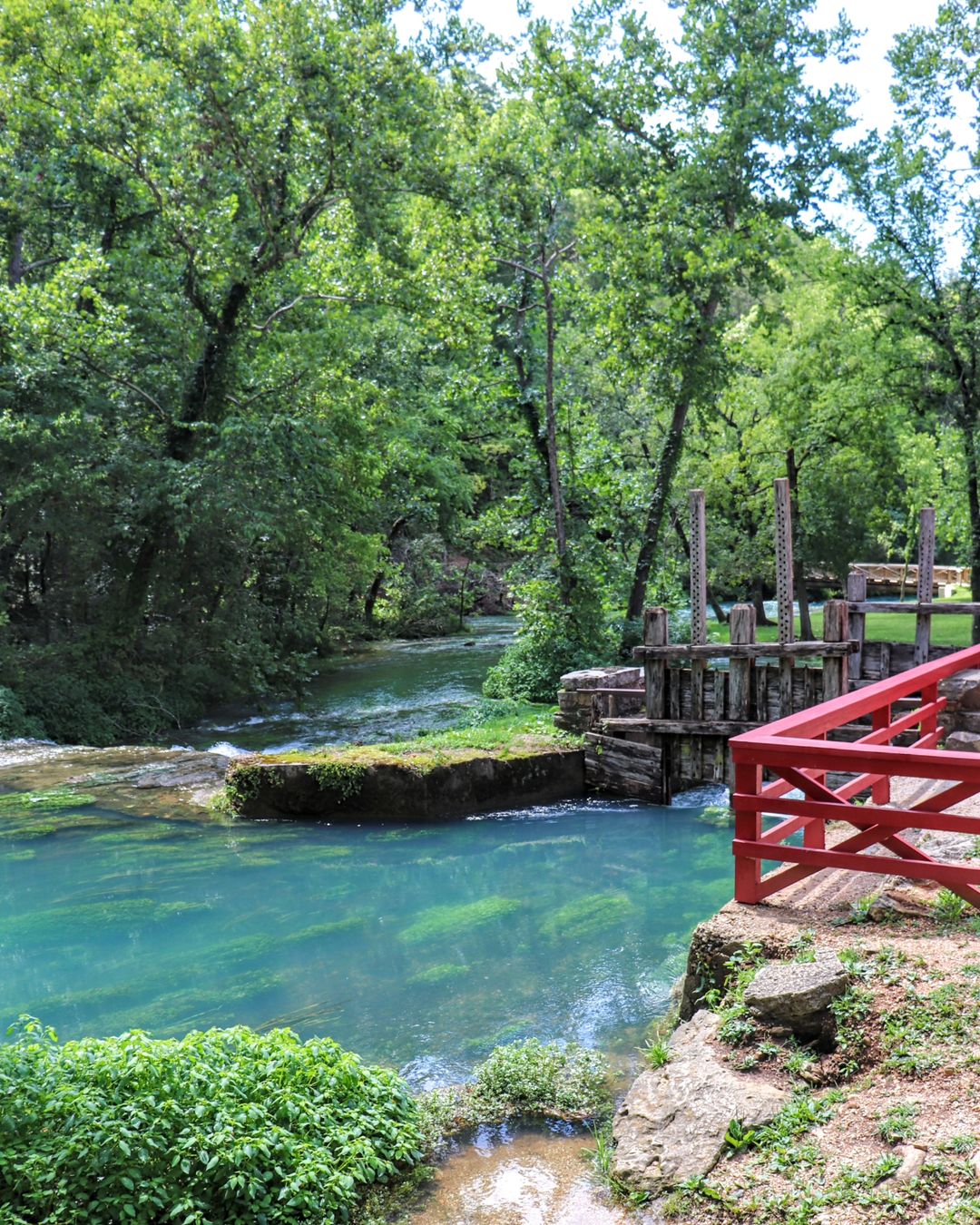 Discover the Fabulous Freshwater Springs of Missouri