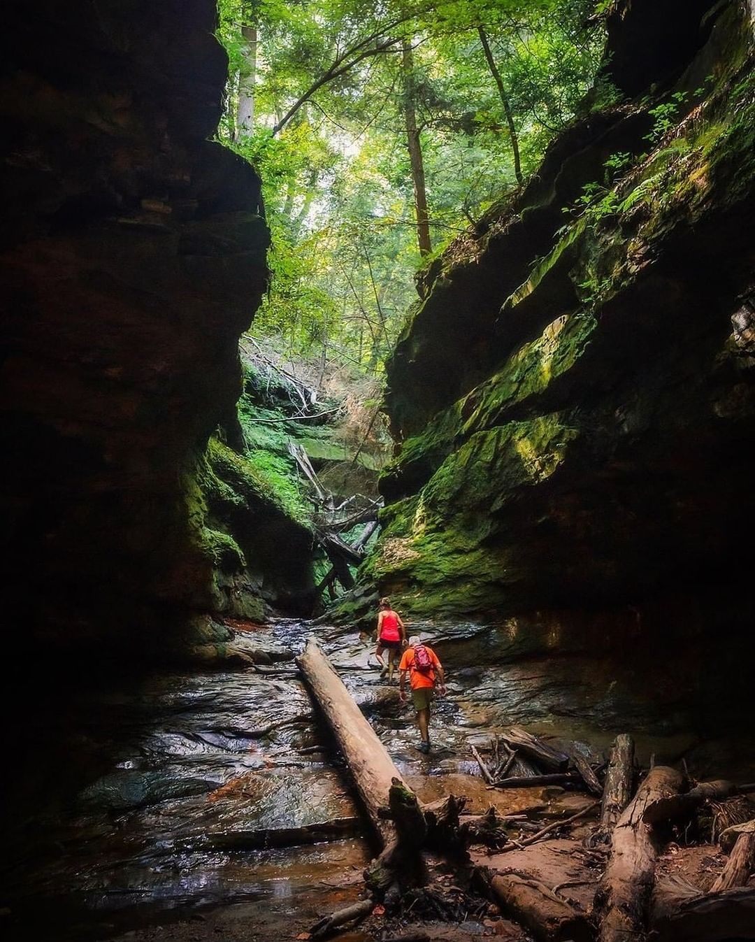 Escape into Nature in Western Indiana at Turkey Run State Park